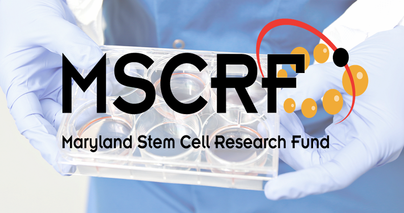 REPROCELL USA Receives Funding from the Maryland Stem Cell Research Fund (MSCRF)